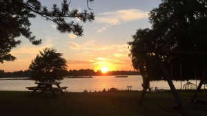 Baptistkirken i Danmark